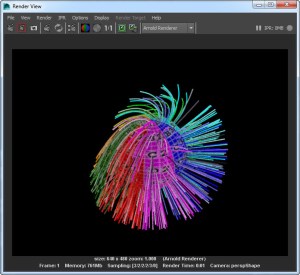 [MtoA] Mapping textures to Yeti hair | Arnold Support Corner